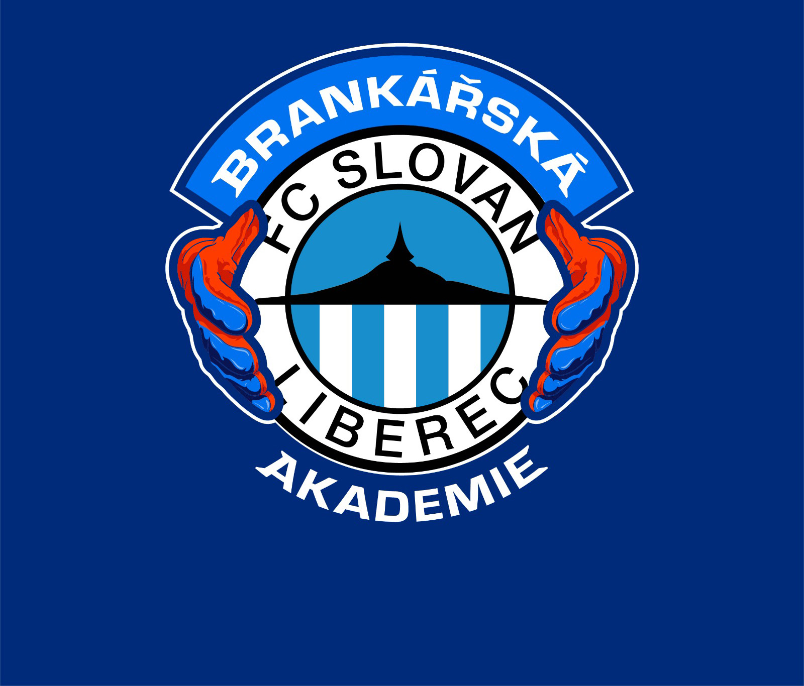 Brankářská akademie FCSL nabízí tréninky pro gólmany z regionu | FC ...